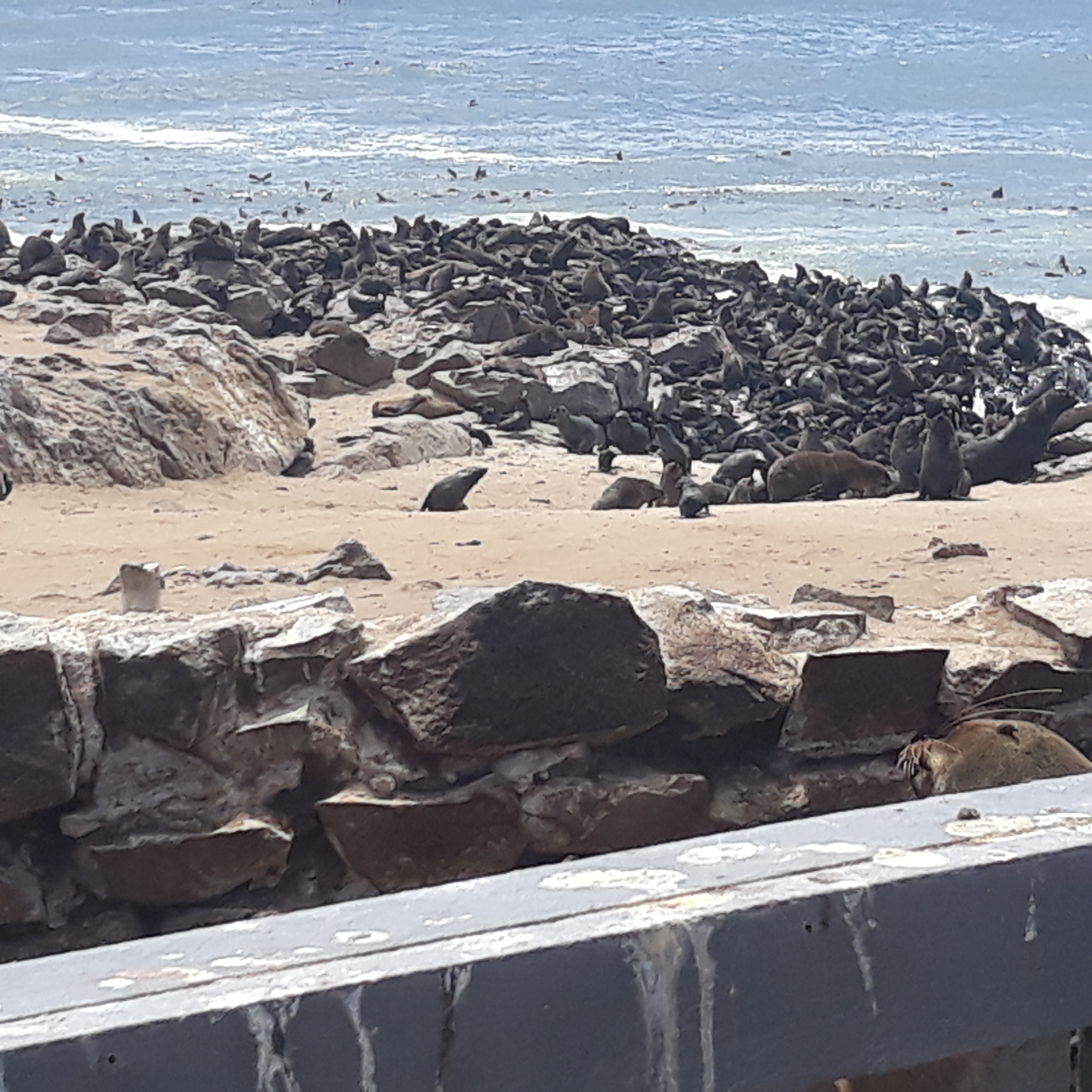 Skeleton Coast Cape Cross Seal Colony drive